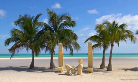 Discover a Whole New World through Cozumel Shore Excursions